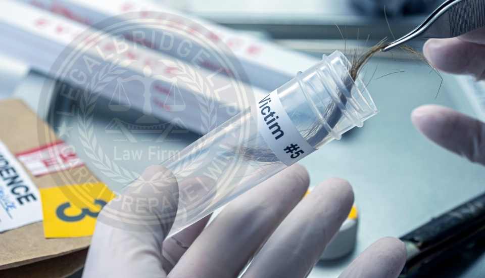 Electronic Evidence Handling – Legal Bridge LLP | 4.9★ Rated Forensics ...